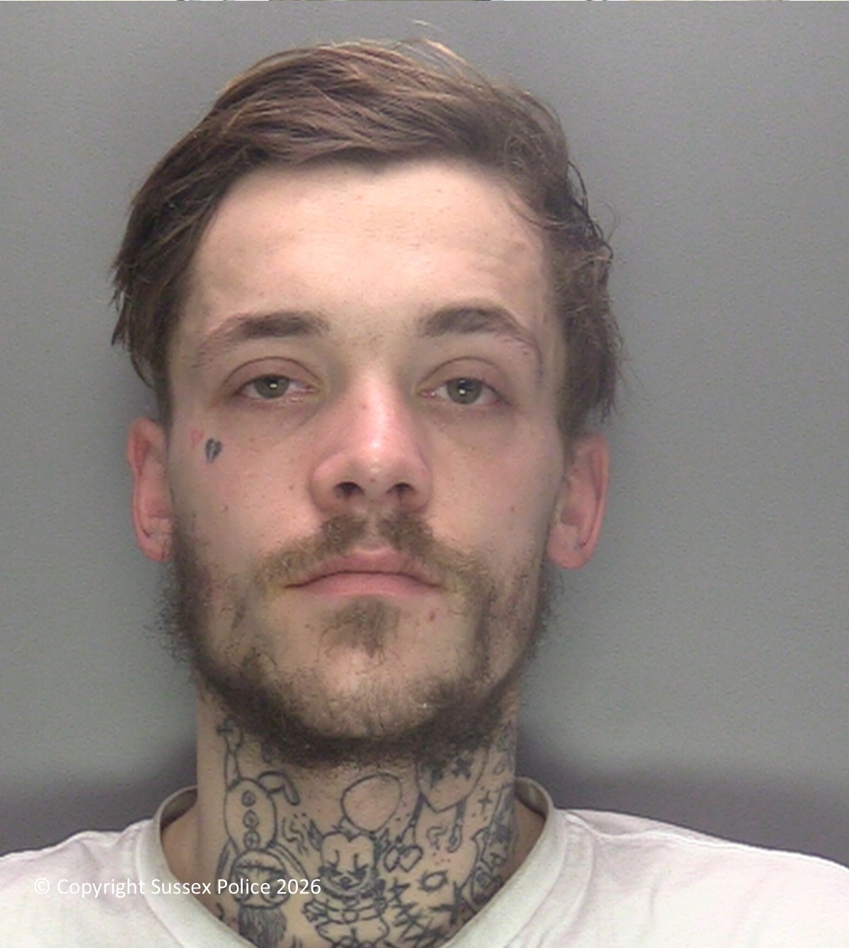 Man sentenced for mugging woman in Crawley | Sussex Police